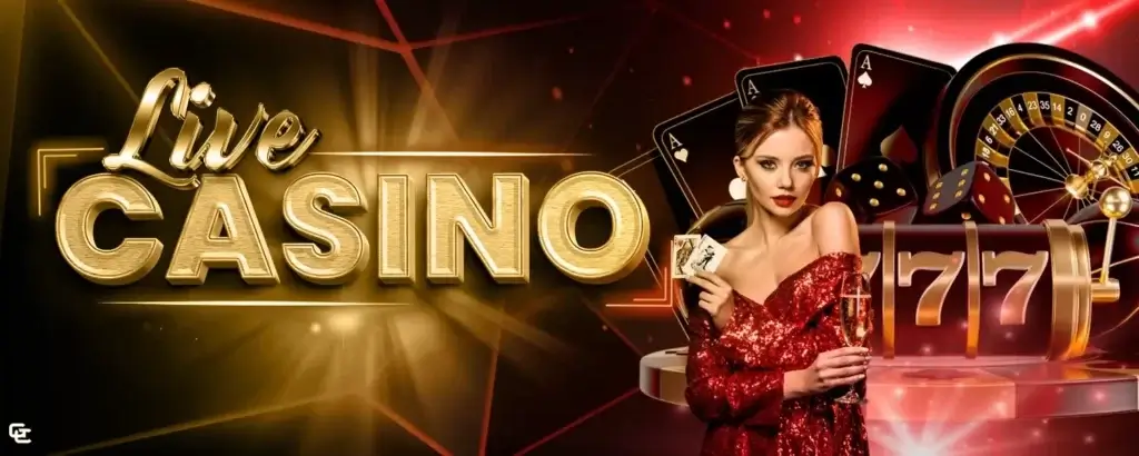 LIVE BINGO: Win Big & Have Fun!